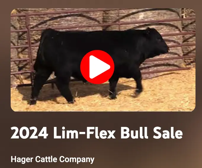 Hager Cattle Company | For Sale